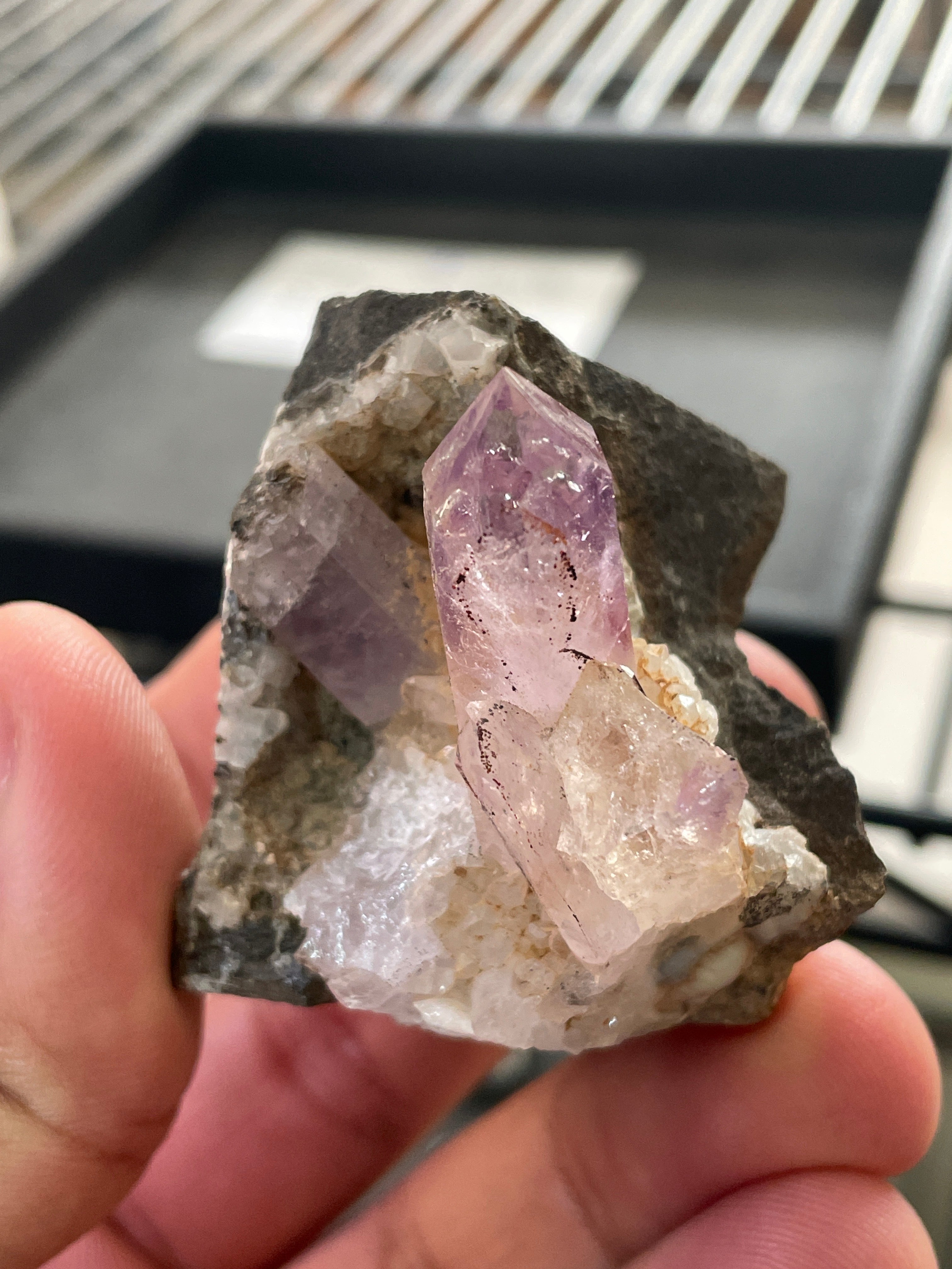 @lynsie_c – Nharo!