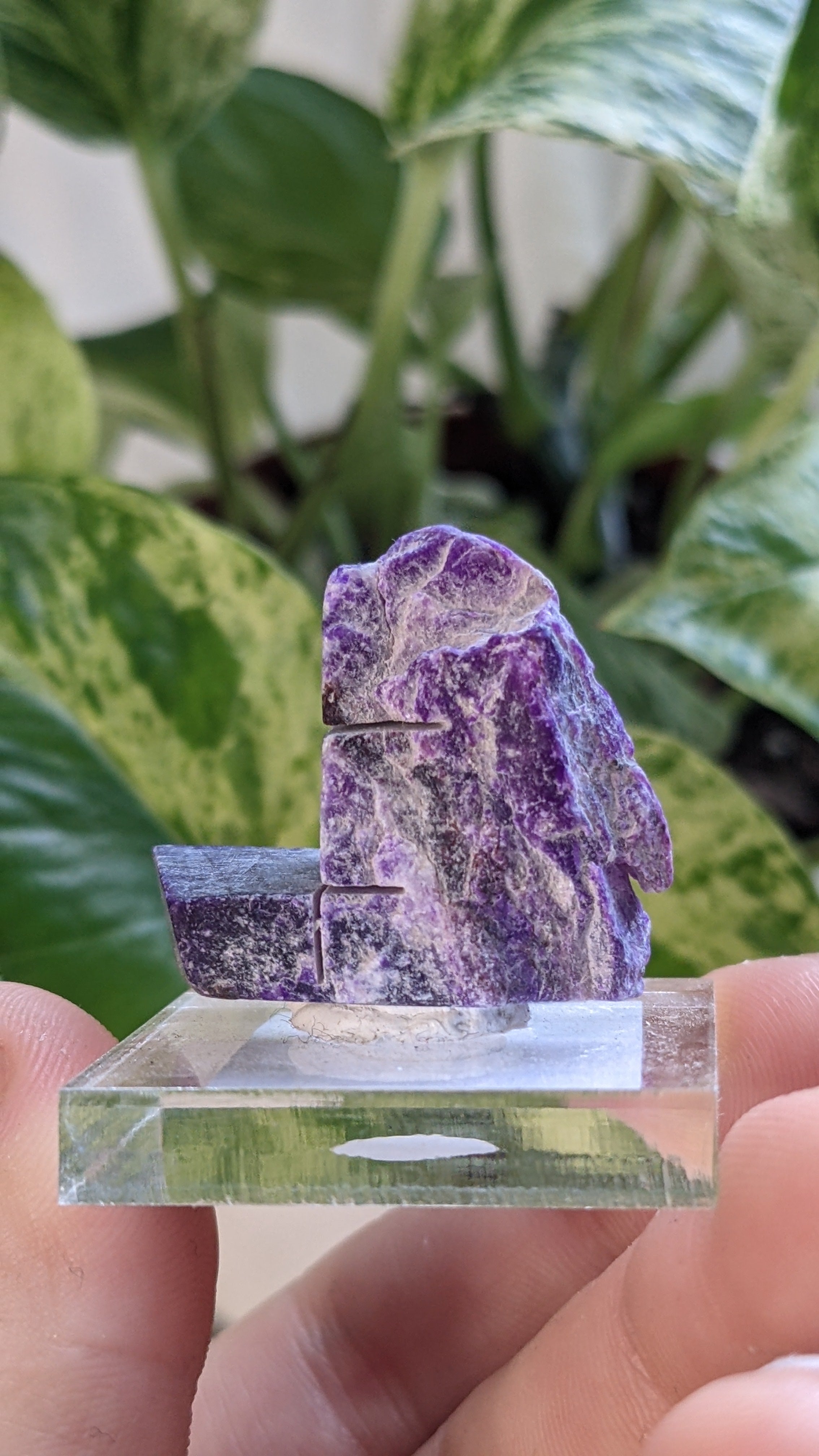 Polished Sugilite from Kalahari Manganese, South Africa – Nharo!
