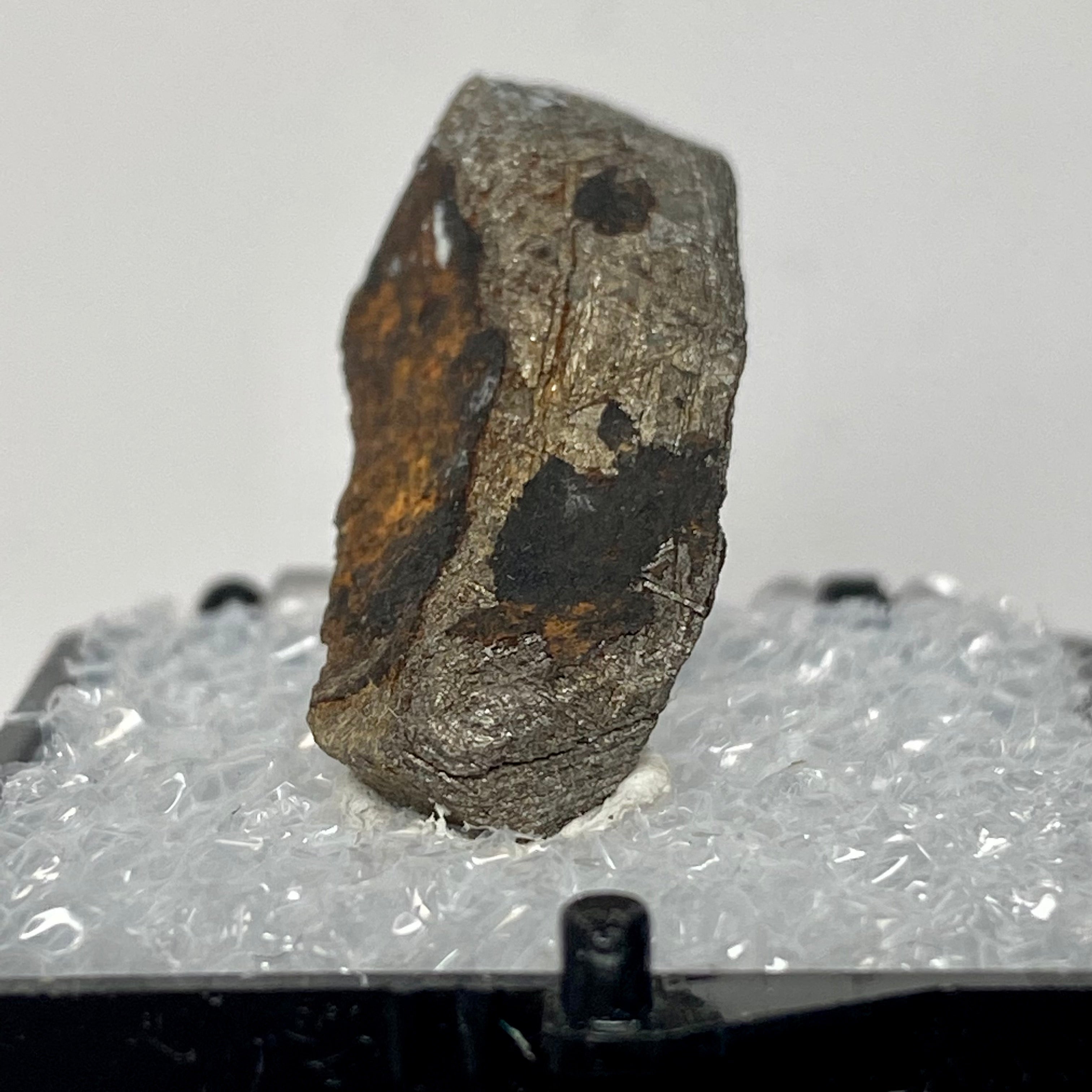 Gibeon Meteorite, Iron Nickel Meteorite, Gibeon, Namaland, Namibia – Nharo!