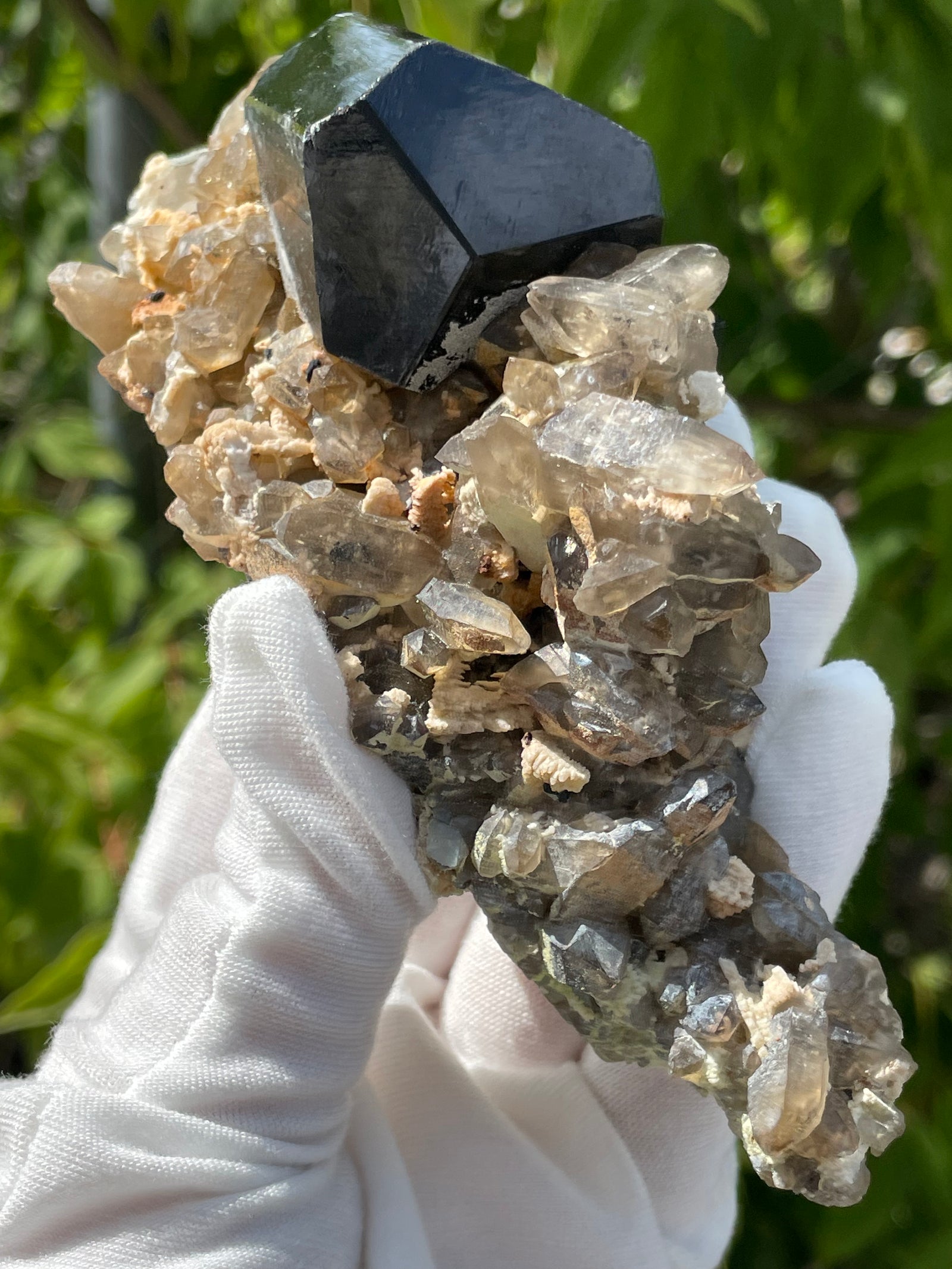 Large Black Tourmaline Crystal on Smoky Quartz and Feldspar with Hyal Nharo